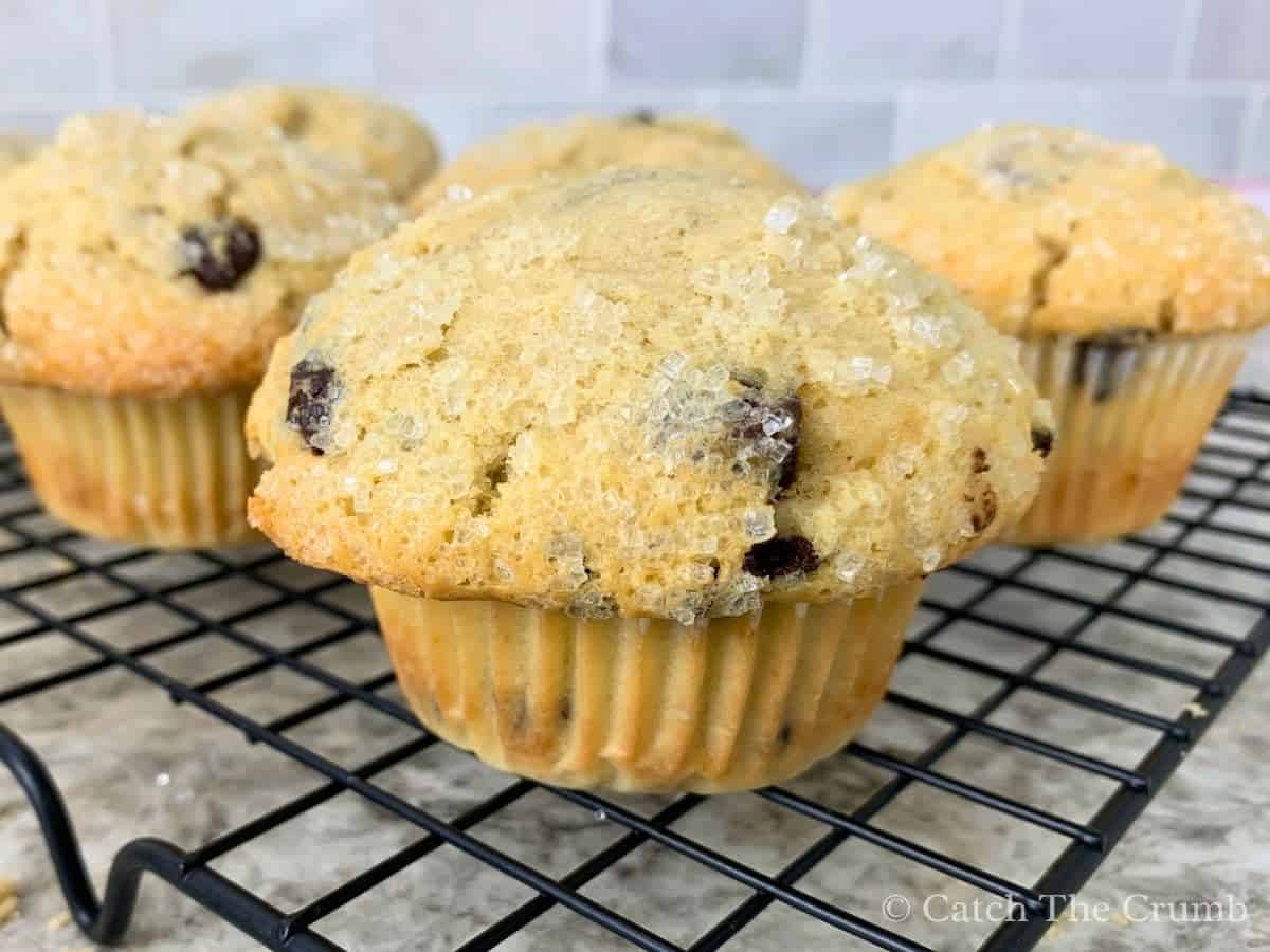 Small Batch Chocolate Chip Muffins (Fluffy and Easy)